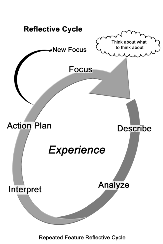 Critical Pedagogy 4th Ed - Reflective Cycle - JoanWink.com